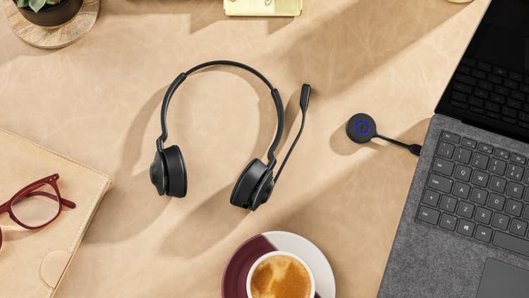 Call Center Headsets With Mic - Wireless & Noise Cancelling